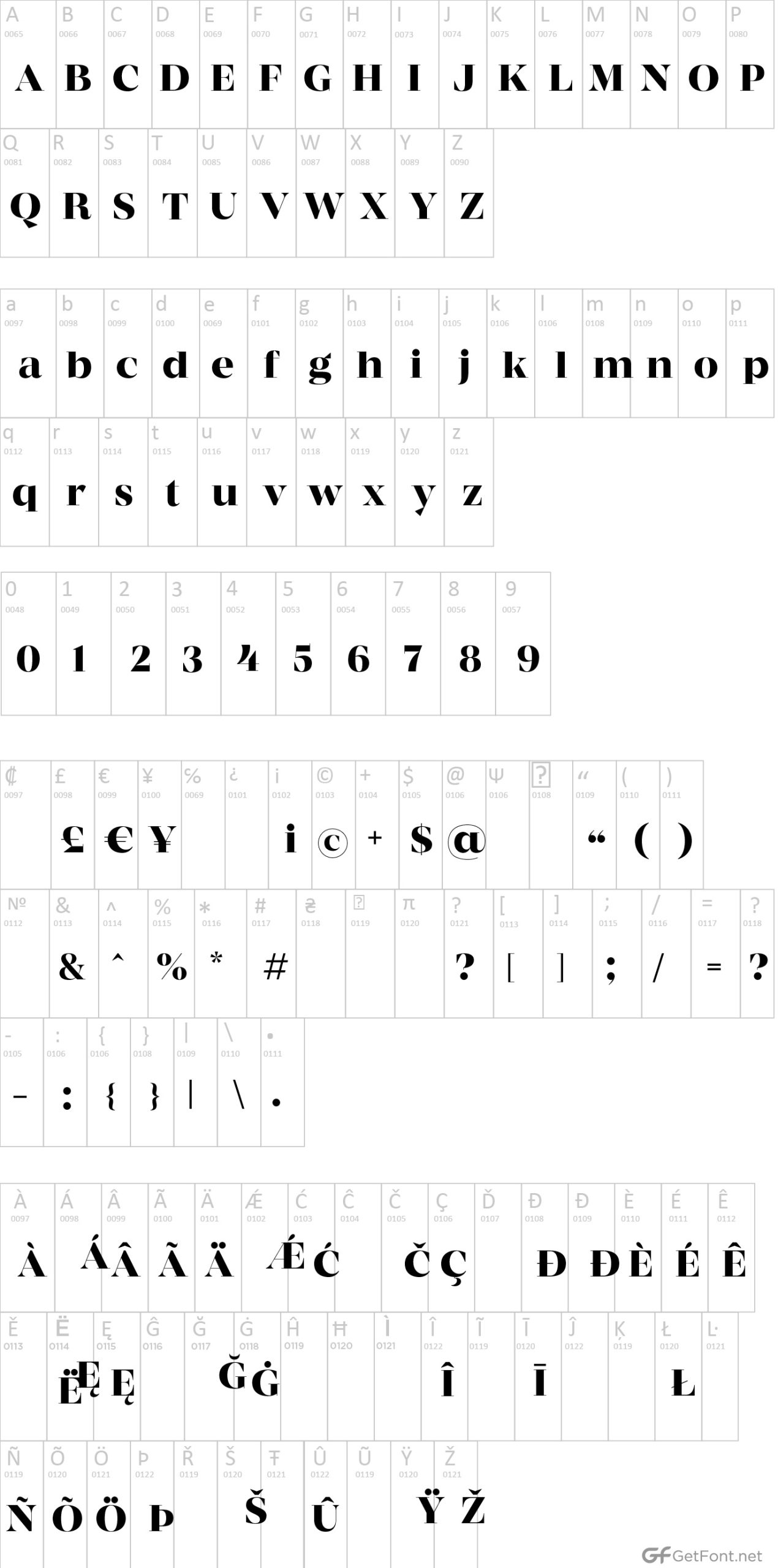 Download the Coachella Font Now! - GetFont