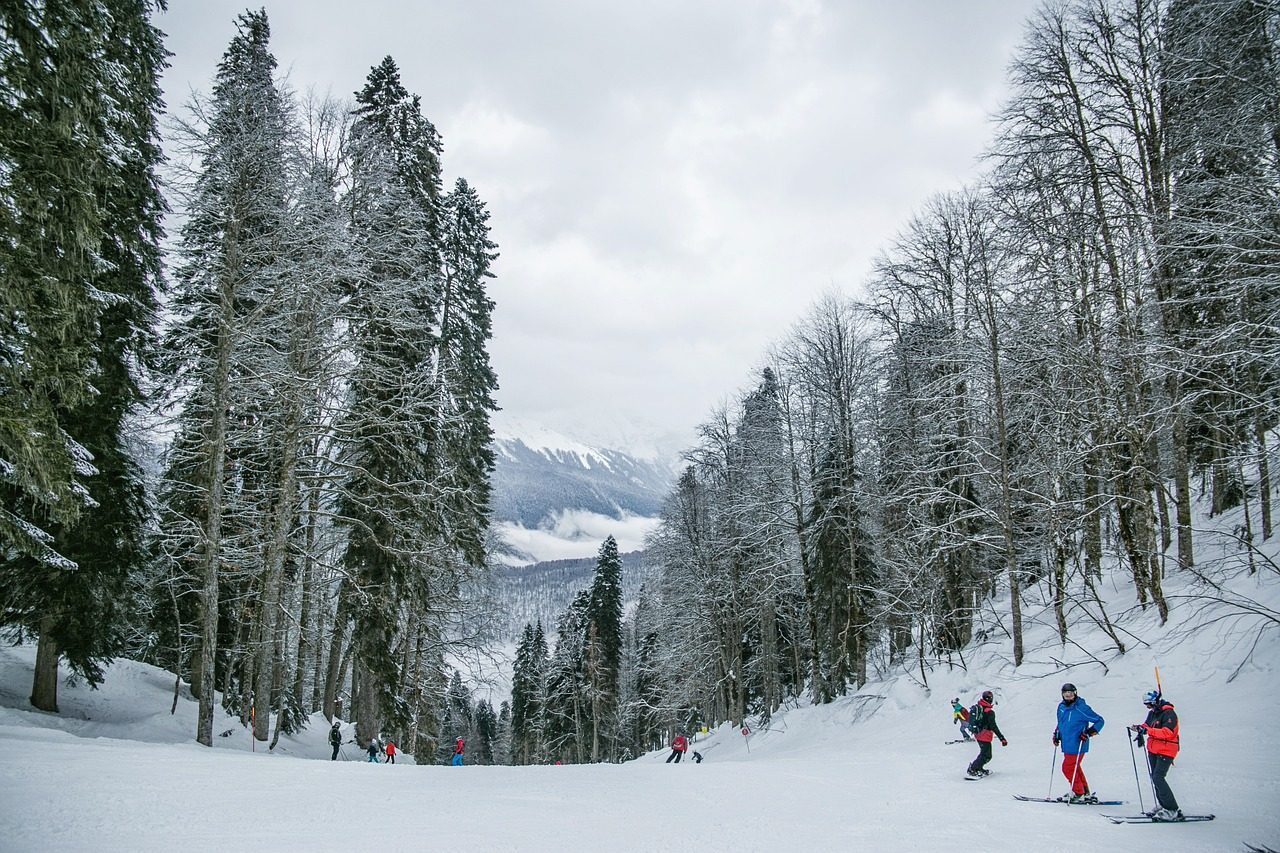 7 Essential Tools To Elevate Your Skiing Experience