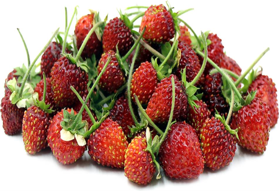 Wild Strawberry: Nature's Tiny Treasure